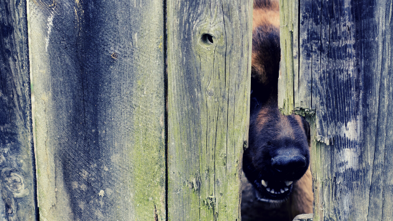 A Breach in the Fence | The Dread Machine