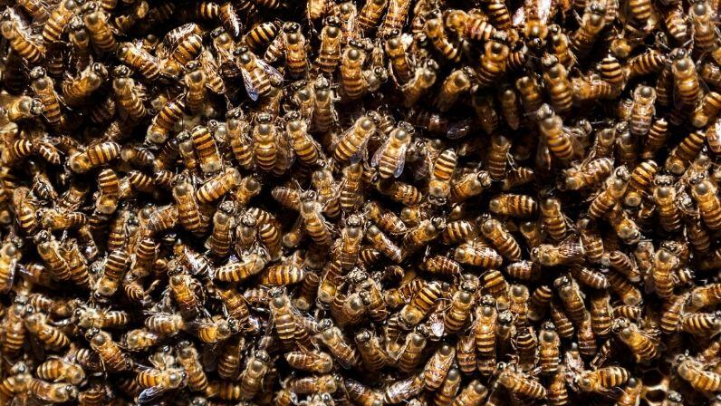 Stabat Mater | The Dread Machine